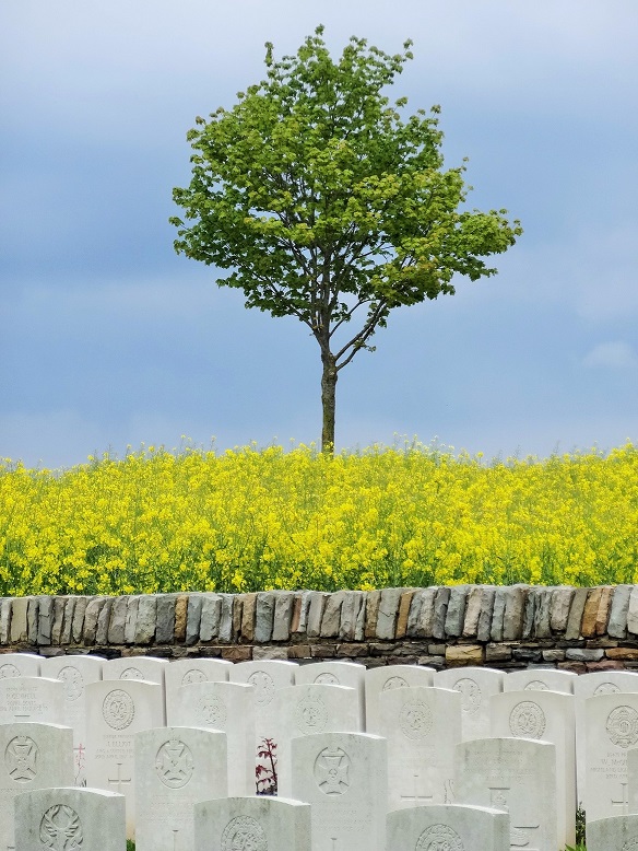 Research | Queensbury Remembers